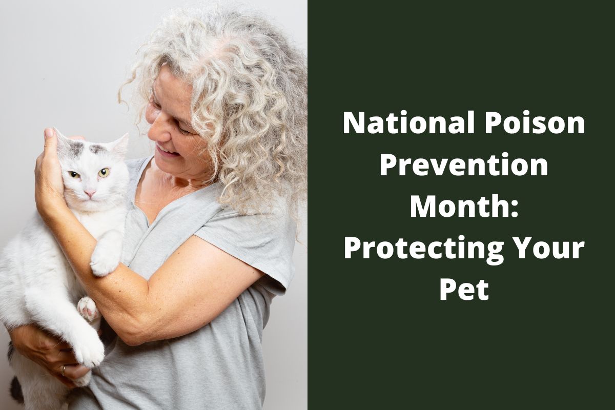 National Poison Prevention Month: Protecting Your Pet - Blog